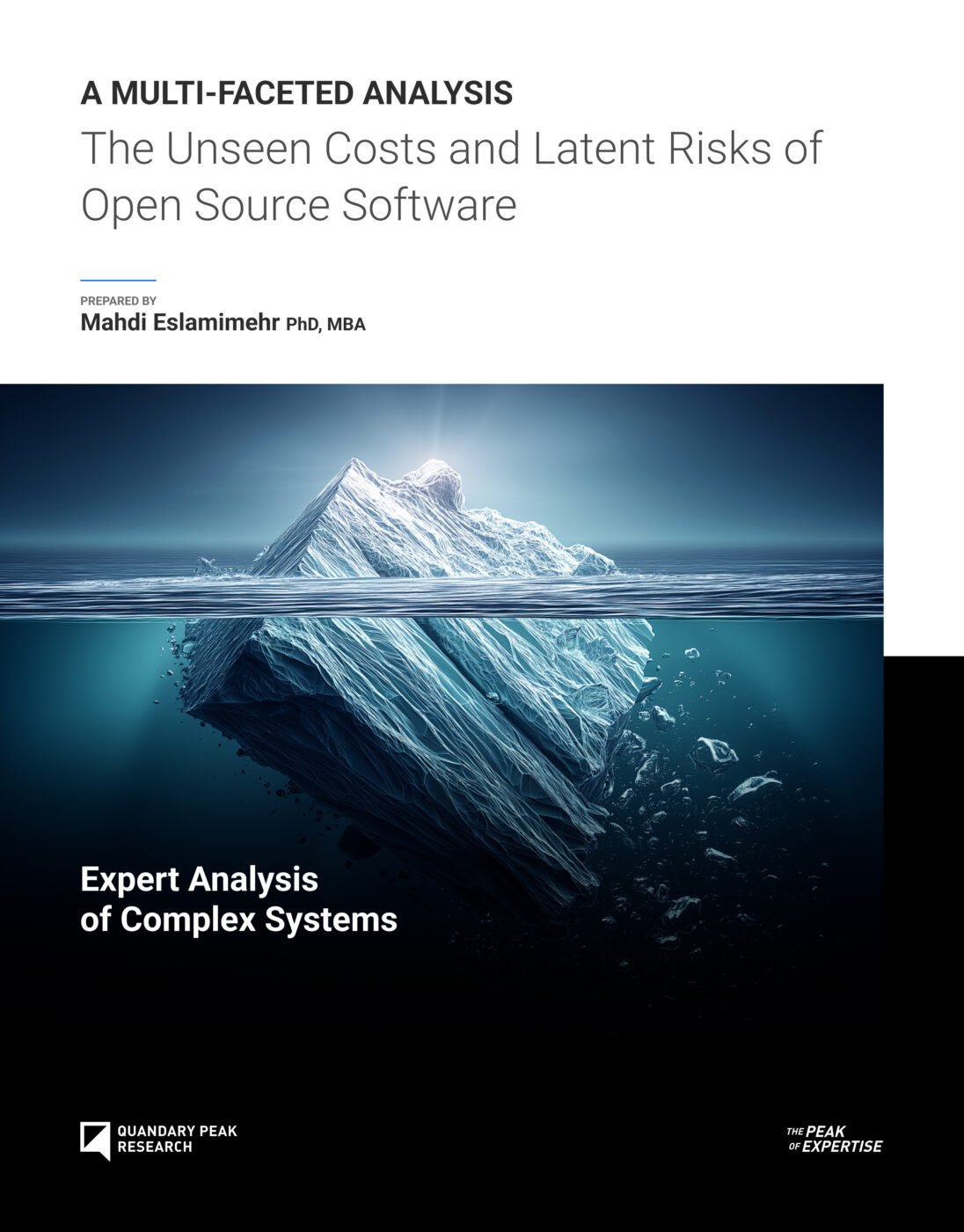 A Multi-faceted Analysis: The Unseen Costs and Latent Risks of Open ...